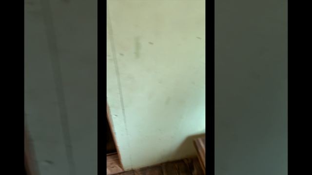 Выходной суббота, все в деревенскую баню!