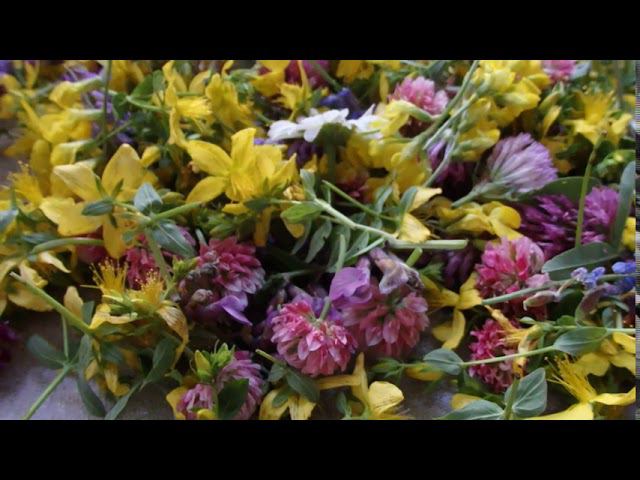 Цветочная смесь для чая - клевер, зверобой, мышиный горошек, чина, ромашки | Flower tea mix