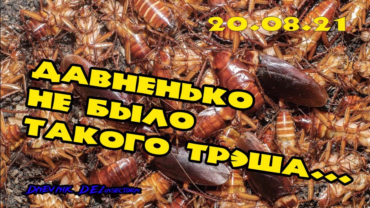 1,5 года спустя.