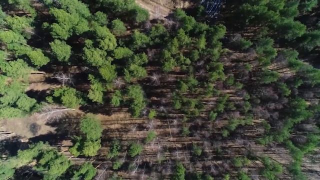 Топонимы. Куровское 16+ #2