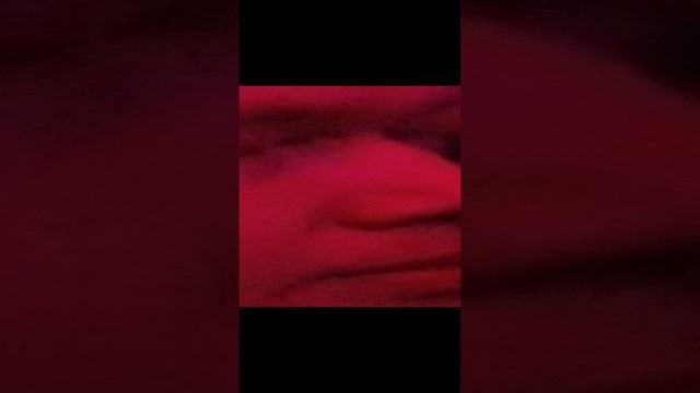 Концерт Нурминского