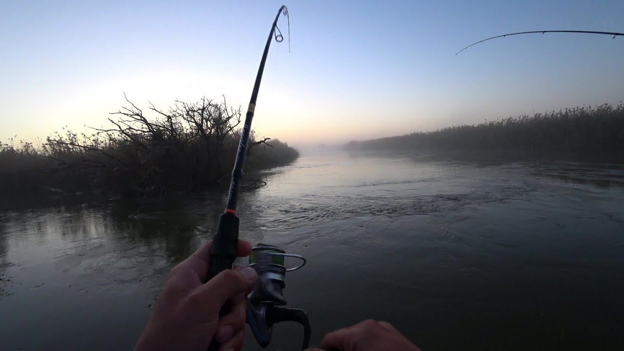 КТО ТАМ РЫБА ГИГАНТ НЕ МОГУ ПОДНЯТЬ РЫБАЛКА В АСТРАХАНИ