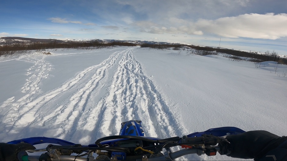 зимняя покатуха