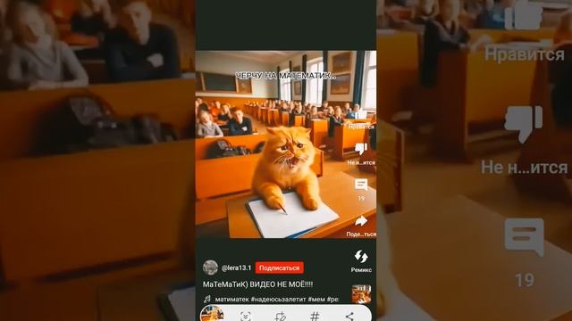 Сегодня математик(