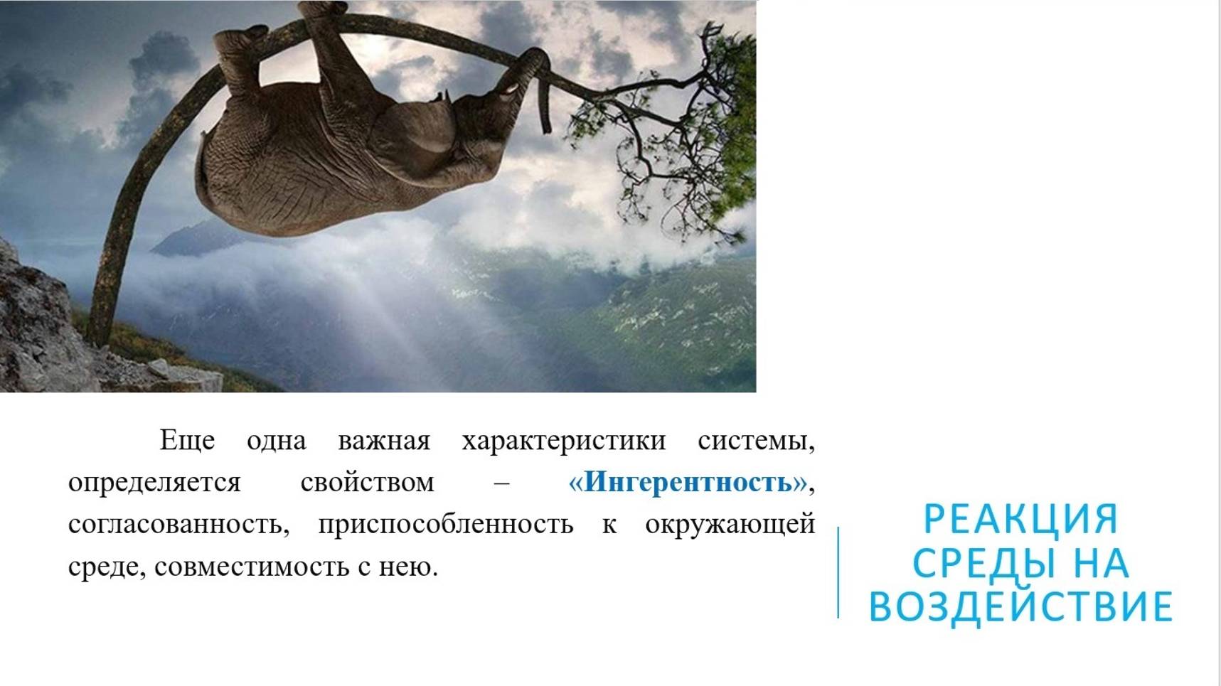 Архитектура общества. Часть 3. Реакции Среды на внешние воздействия, Ингерентность.