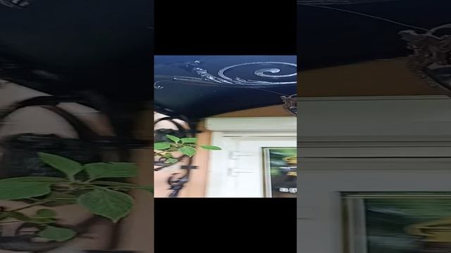 музей граммофонов