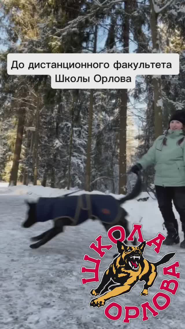 Школа Орлова место где магия разрешена ❤️