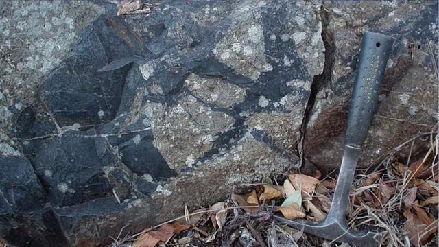 §19 "Простейшие", Биология 5 класс, Сивоглазов, Плешаков.mp4