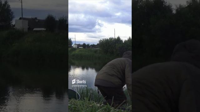 Неожиданная потеря