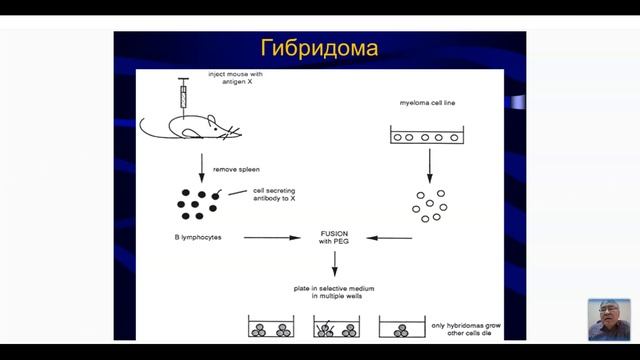 Морфология в онкологии.Часть3.mp4