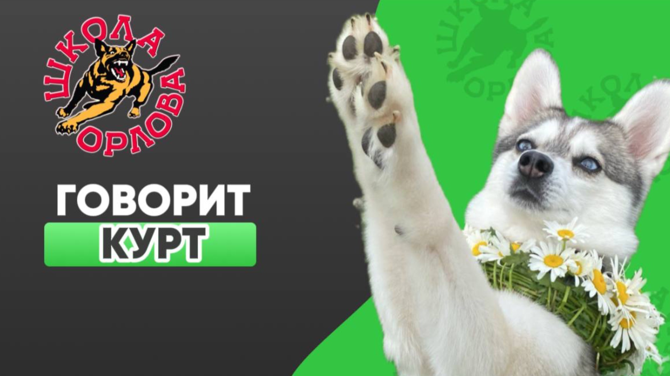 Симпотяга Курт рассказывает,как воспитал хозяйку