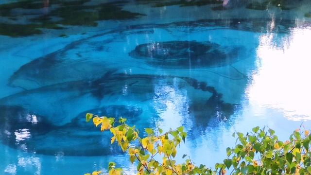 Всероссийская интернет-акция «Стимул мечты - это сам ты!» часть 2.mp4