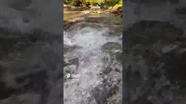 Краснодарский край: Мезмай для души