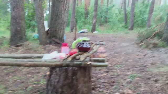 Волга 21.07.24.