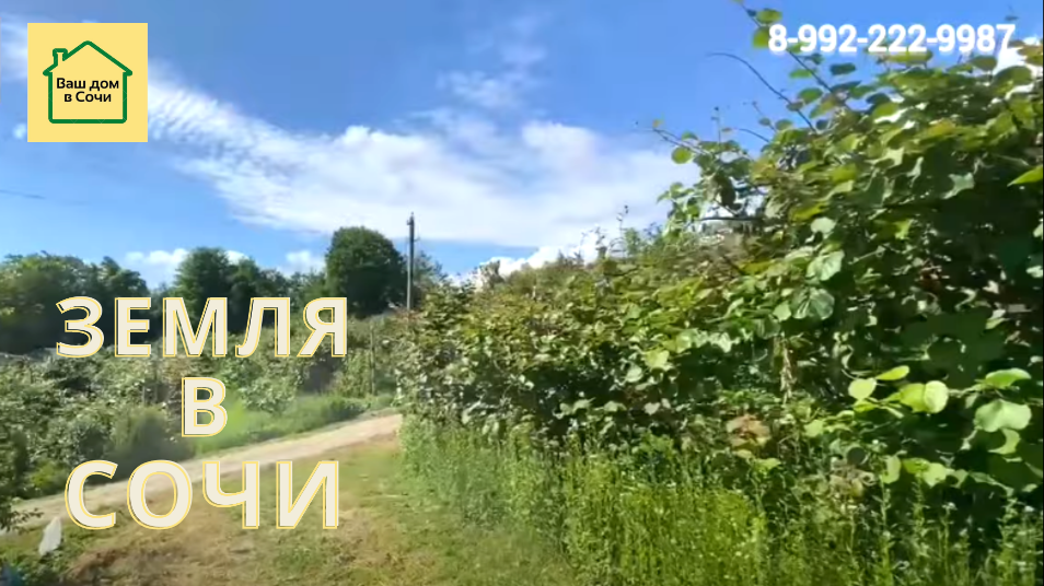 Отличный участок 55соток с видом на море в Адлере. #купитьземлювсочи  #землявсочи #участоквсочи.