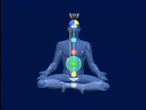 Animation Le Système subtil - Sahaja Yoga