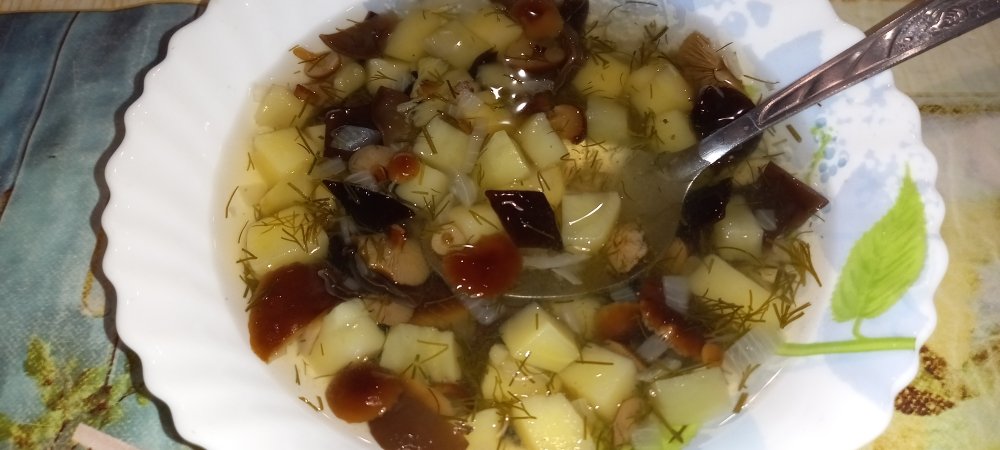 ❗ВКУСНЕНЬКИЙ ЛЕГКИЙ ГРИБНОЙ СУП❗У меня зимние опята и иудины уши❗
