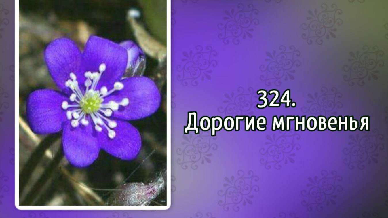 Гимны надежды 324 Дорогие мгновенья (-)