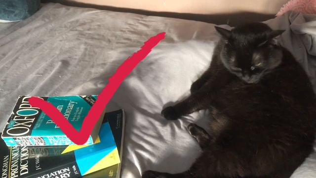 Настоящее Продолженное / Present Continuous (Progressive)