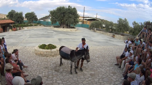 Школа верховой езды на ослике. Кипр.