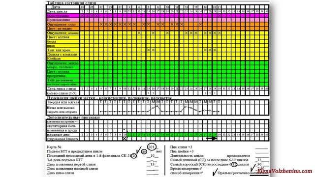 Интерпретация типичного менструального цикла - Урок 3-1.
