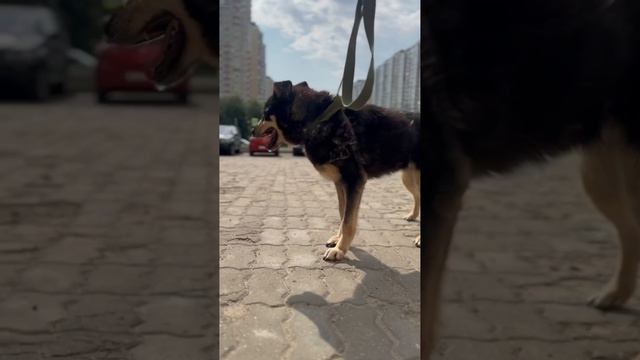 Обезболить - это все, что можем сделать для нее