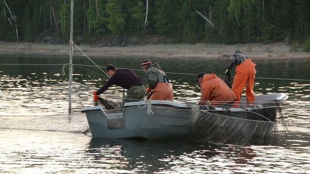 "Жизнь замечательных братчан" Семья Ли/Братская студия телевидения