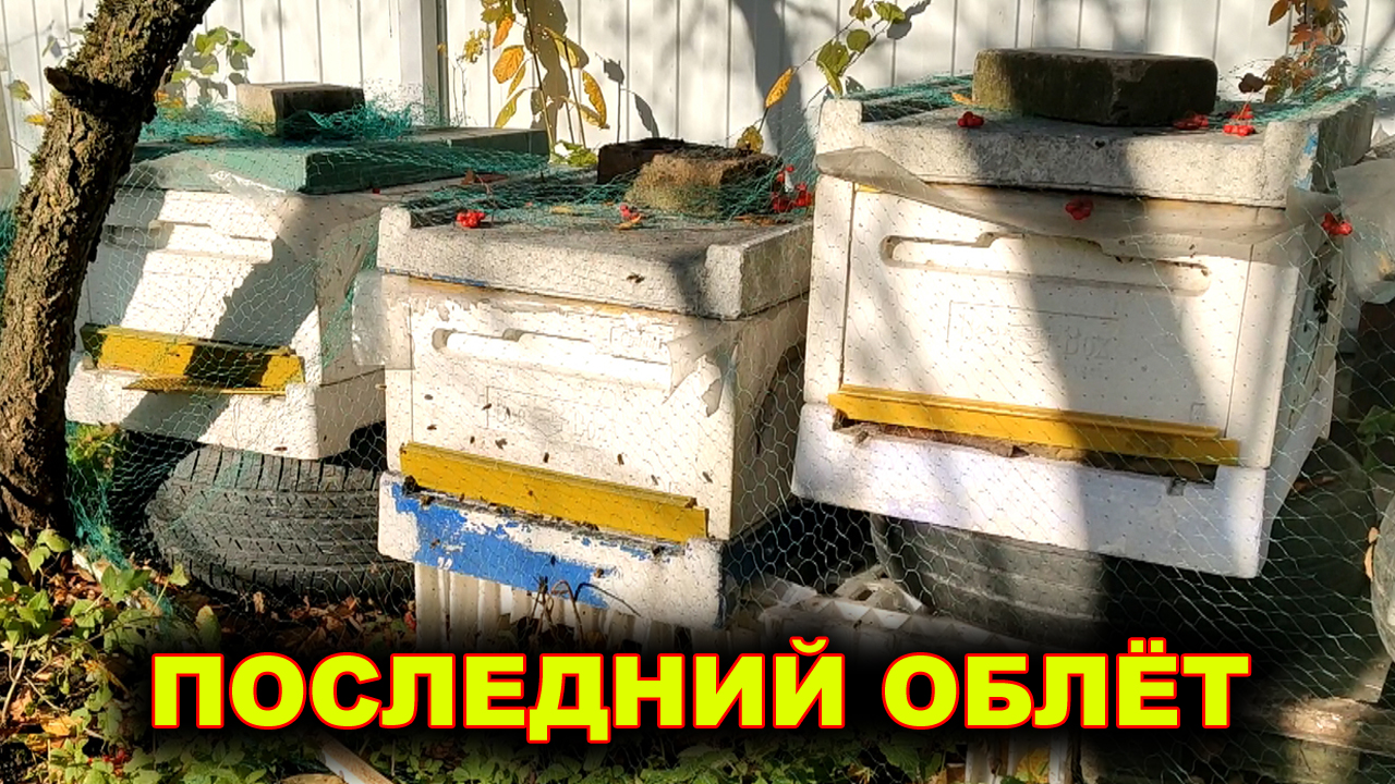 Последний облёт в сезоне.