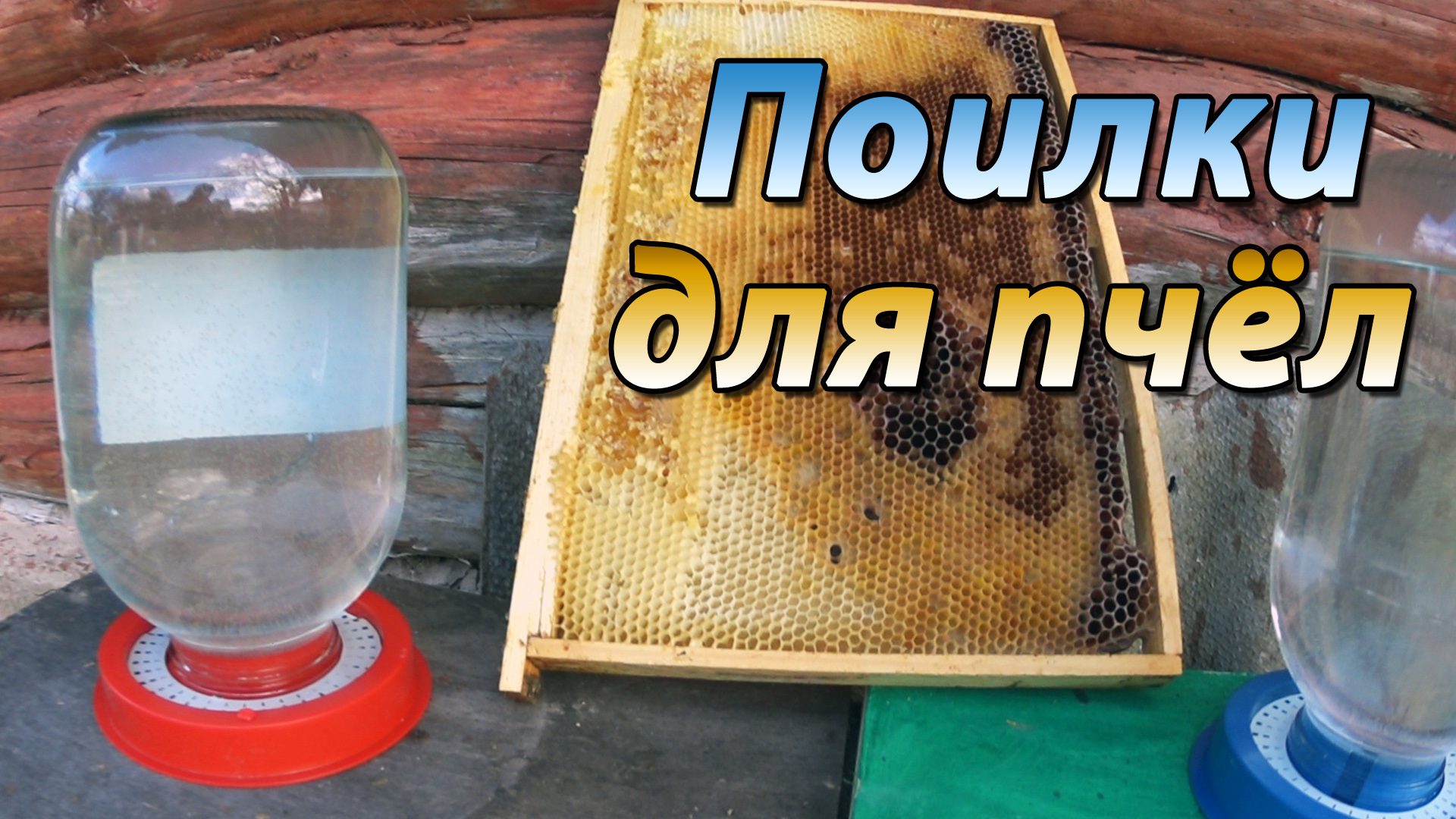 Поилка для пчёл на пасеке. Нужна ли пчёлам вода