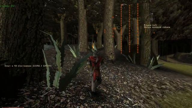 Gothic1.Банда Квентина.Часть59.Юниторы в каньоне троллей и заброшенном монастыре.