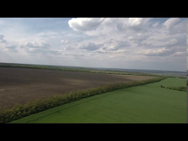 Старобельск Лесковый лес Три сосны май 2020