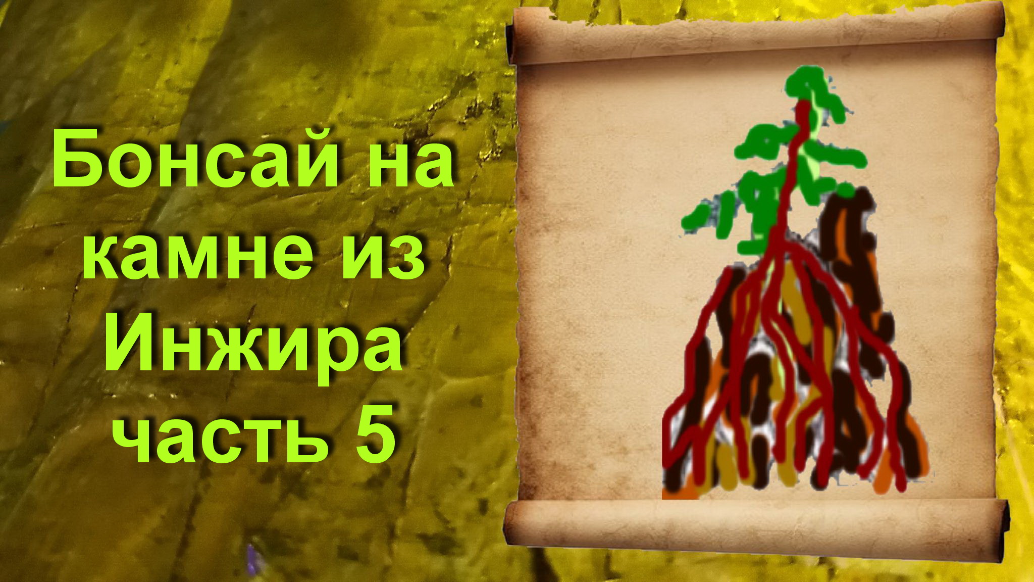 5.Бонсай на камне из Инжира часть 5
