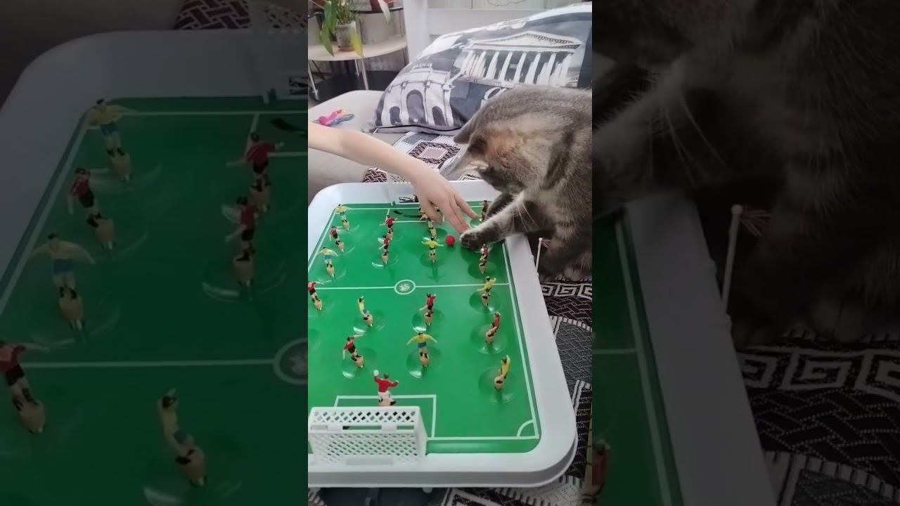 Как коты помогают с детьми #безкотажизньнета