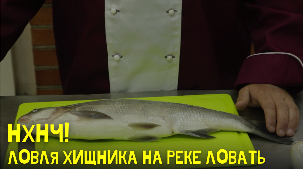 Ловля хищника на реке Ловать \ Ни хвоста, ни чешуи. Сезон 1