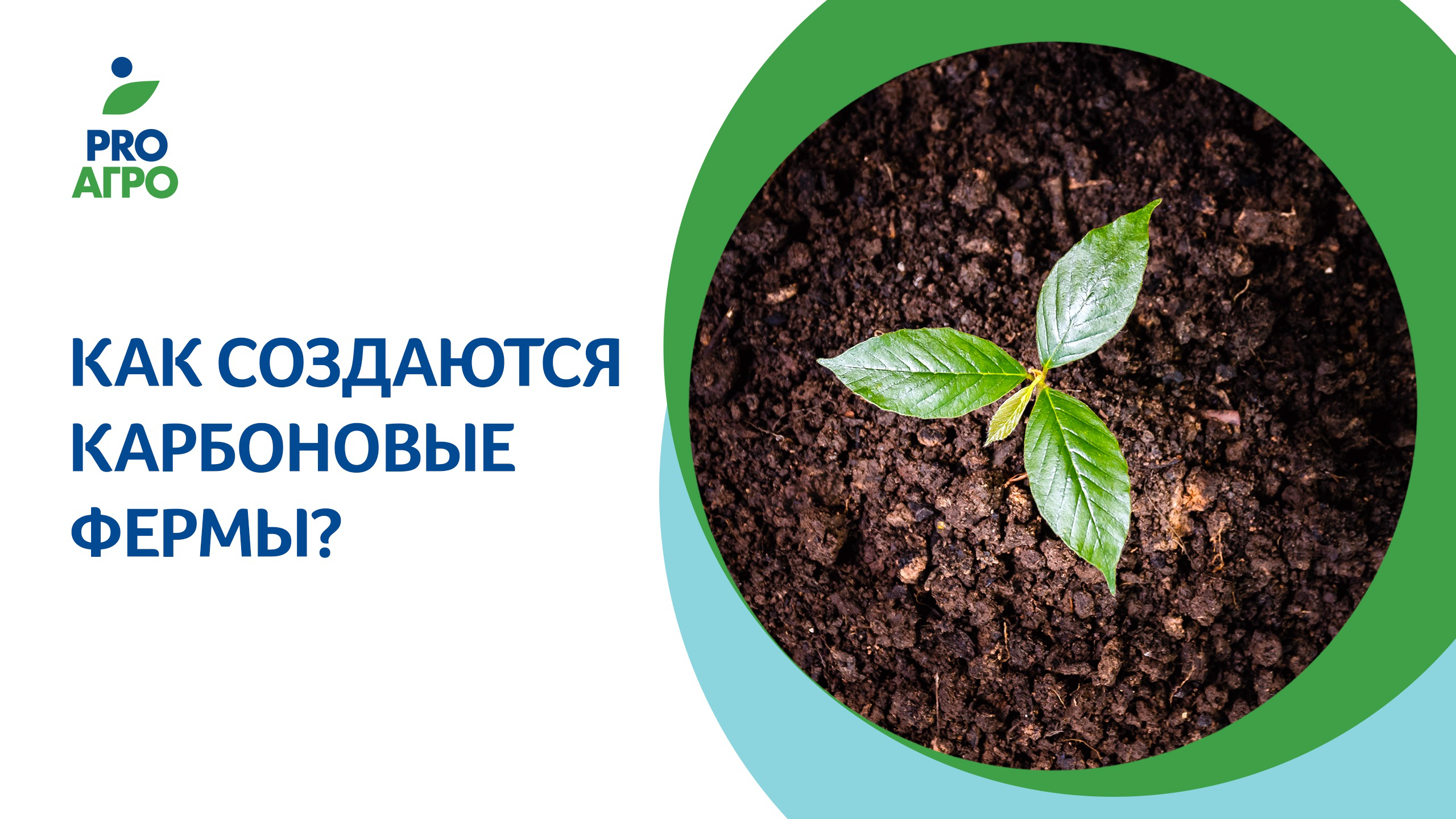 Как создаются карбоновые фермы?