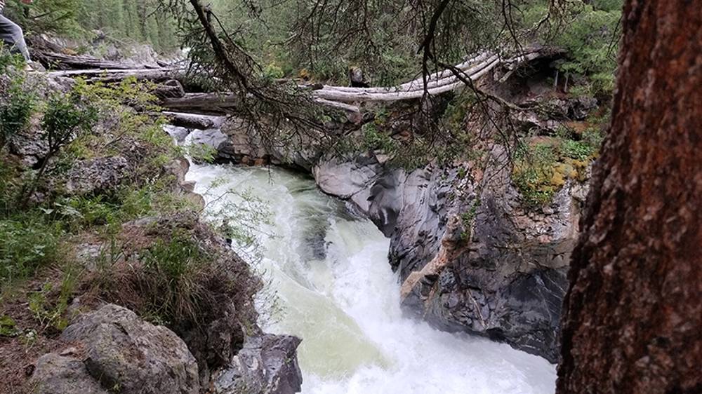 Лето с АРГО. Путешествие в заповедные места Горного Алтая. Язула. 2 часть.