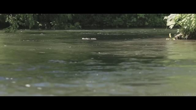 Репа & Поверье - Ой, да на заре