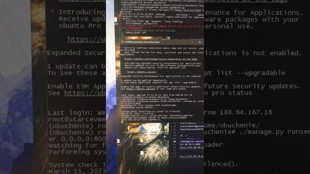 №11.9 Запуск Django 4.1 + Postgres 15, создание первого проекта и админинстратора для Админки