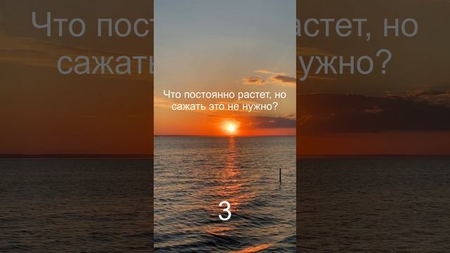 Что постоянно растет, но сажать это не нужно