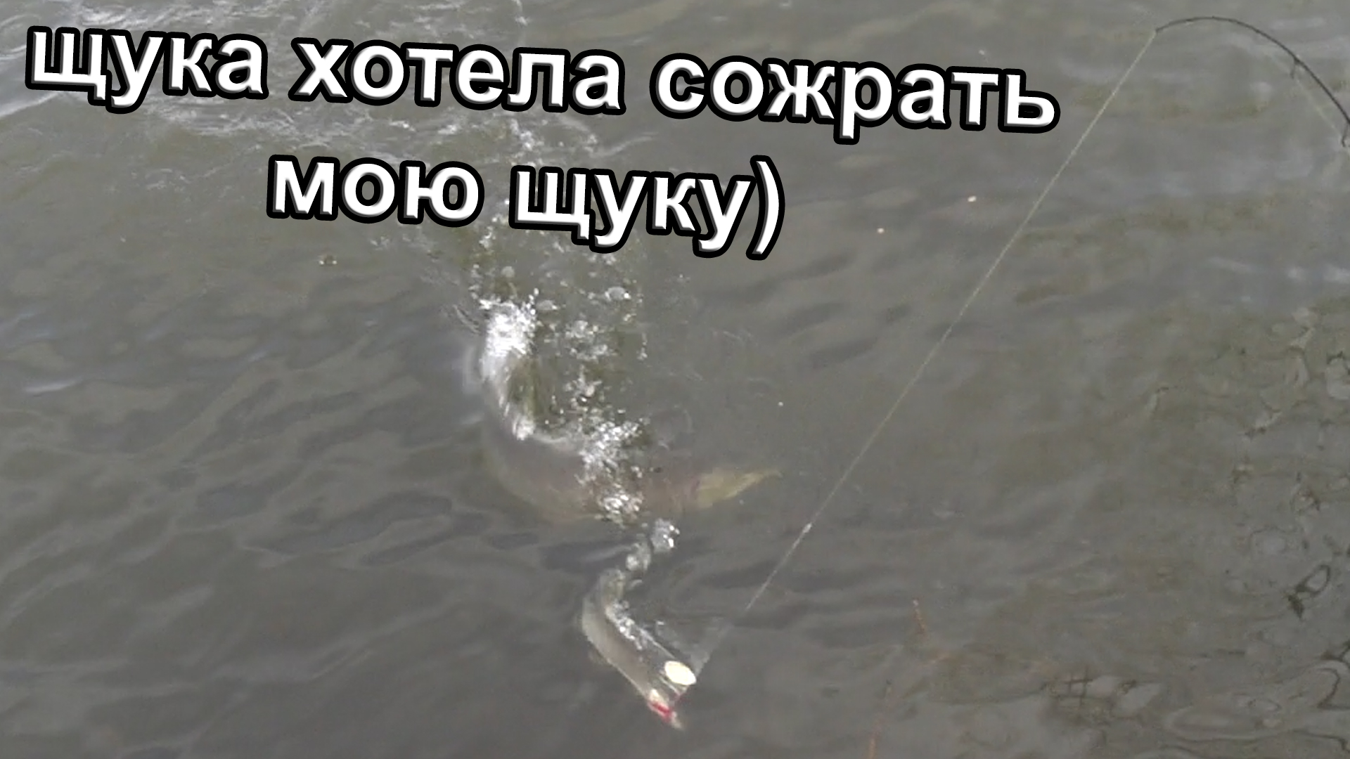 Щука кинулась на щучку - мою потенциальную добычу!