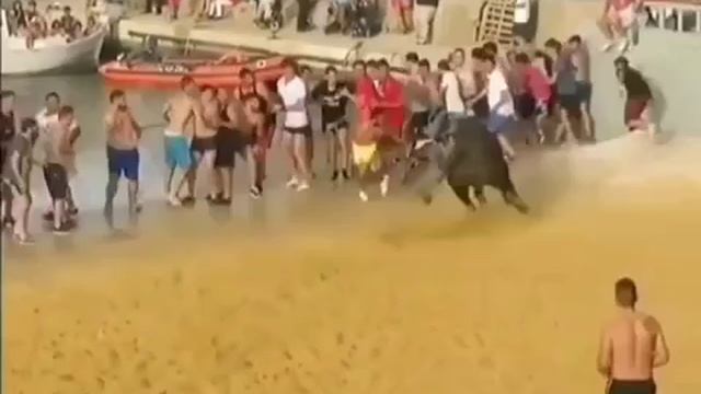 убегаем от быка