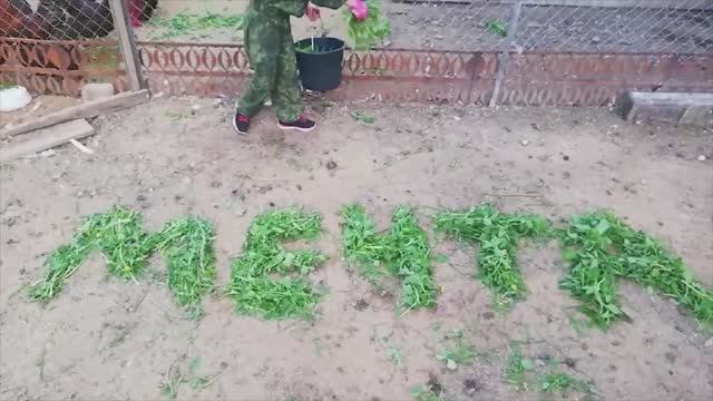 Шоу-группа Мечта - У нас, молодых