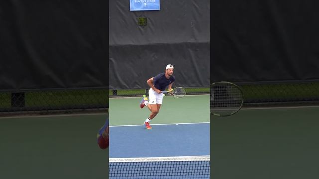 Подача выход с сетке. Наблюдение за лучшими игроками мира.