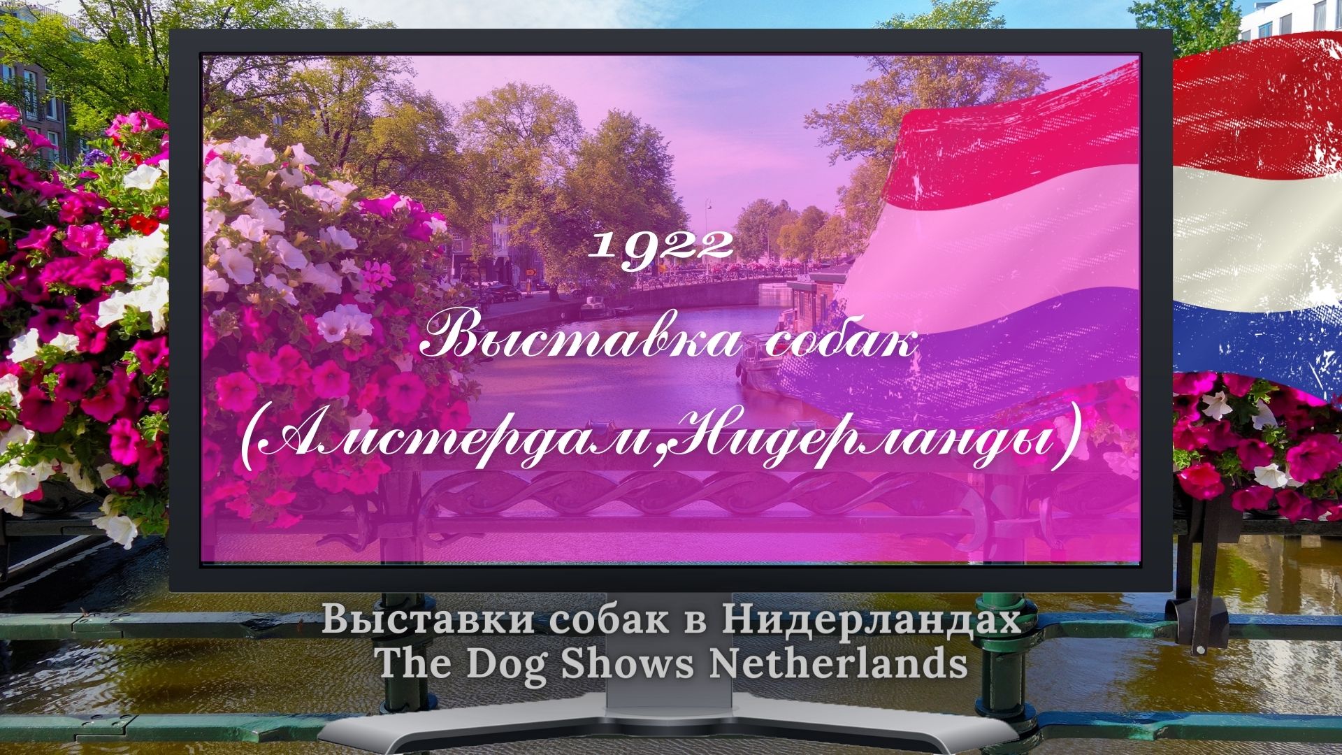 1922 Выставка собак (Амстердам, Нидерланды)