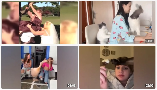 Сборник Смешные приколы #5 , 2фев - 5фев 2023