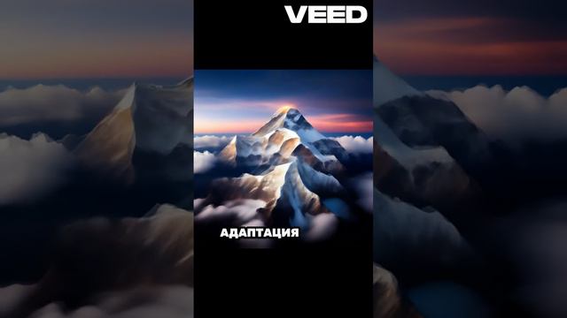 Мировой рекорд по восхождению на Эверест!!!