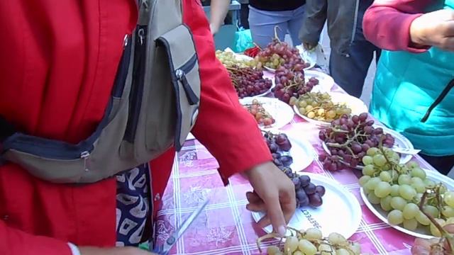 Выставка Винограда В Донецке _04.09.2021 6 Часть