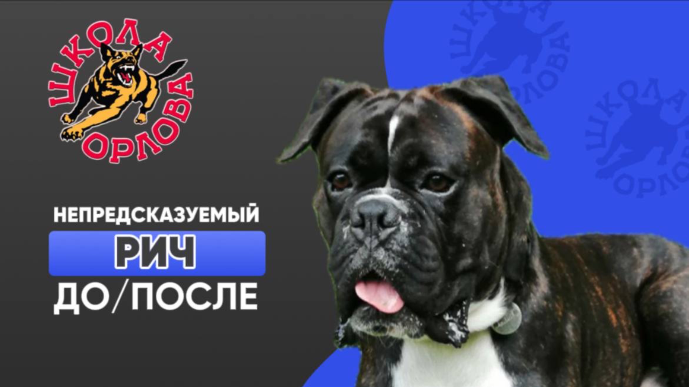 Дистанционный формат не работает… Или все таки работает?