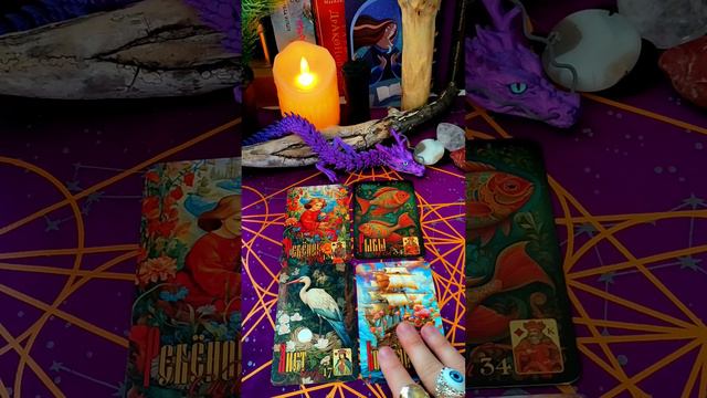 дорога и небольшие денежки