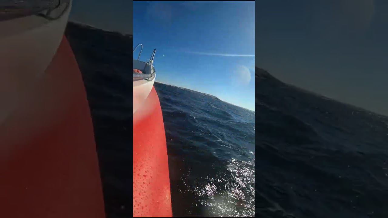 #shorts #русскиймеханик Fortis 460z держит волну